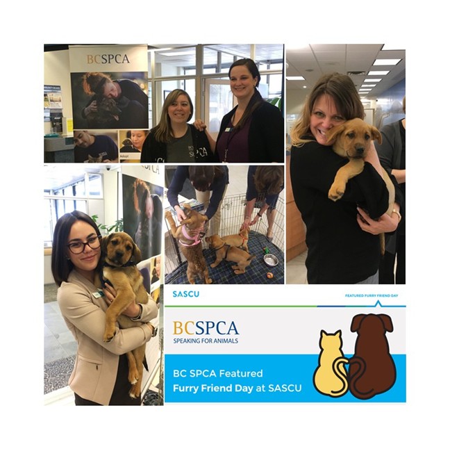 SASCU - In Our Community